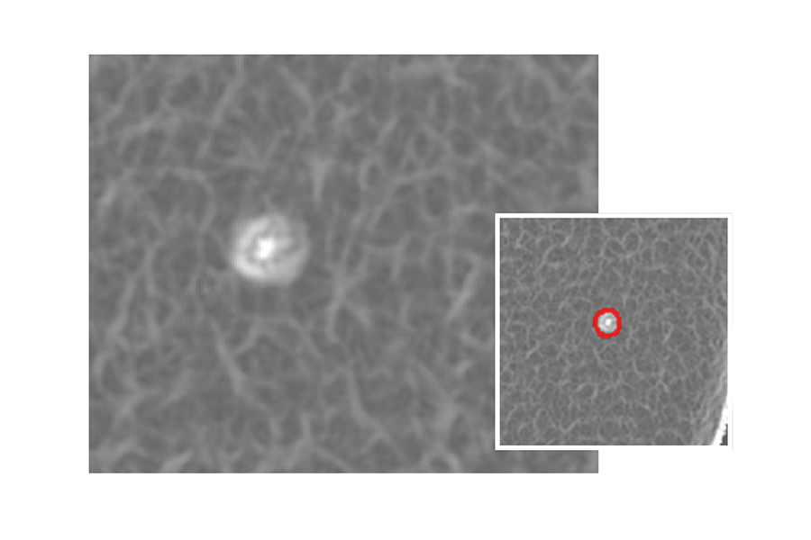 Defect detection on painted car bodies | Micro-Epsilon